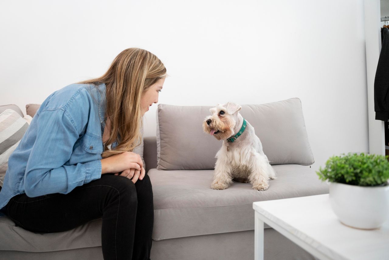 Pet Anxiety Solutions: Yes, Pets Can Get Anxious